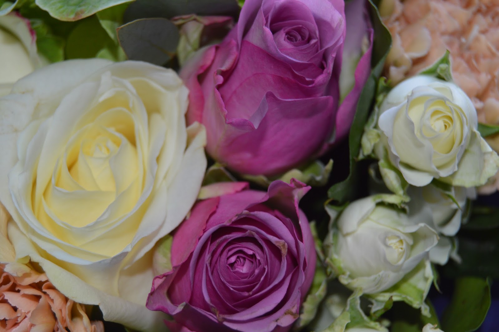 The Flower Studio - Review - We're going on an adventure