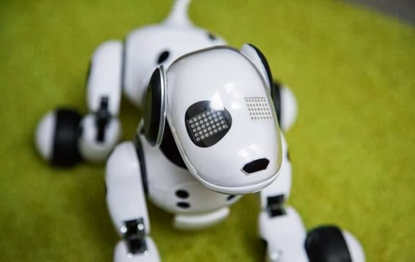 Zoomer: The Robotic Dog for People Who Can't Have Pets | Go Gadget Plus