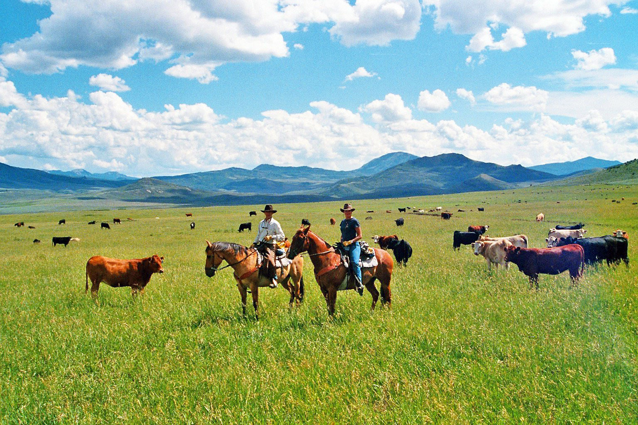The Family Vacationist: Saddle Up with a Fitbit for a Dude Ranch Getaway