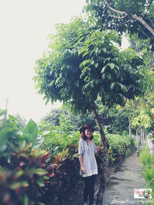 Woman In Digital: Kawa-Kawa Hill, KOPPA Farm and ATI Learning Site in Bicol