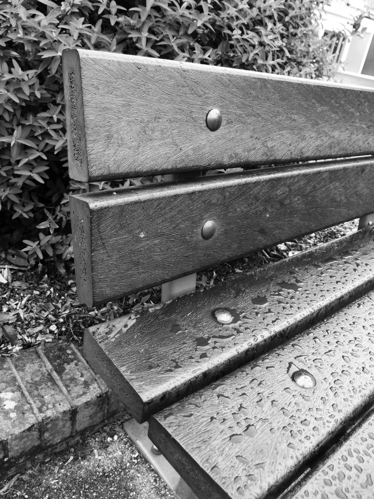 Photography Unit1: Straight Images - Tone