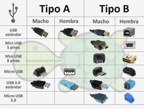 USB ( Universal Serial Bus): TIPOS DE PUERTO