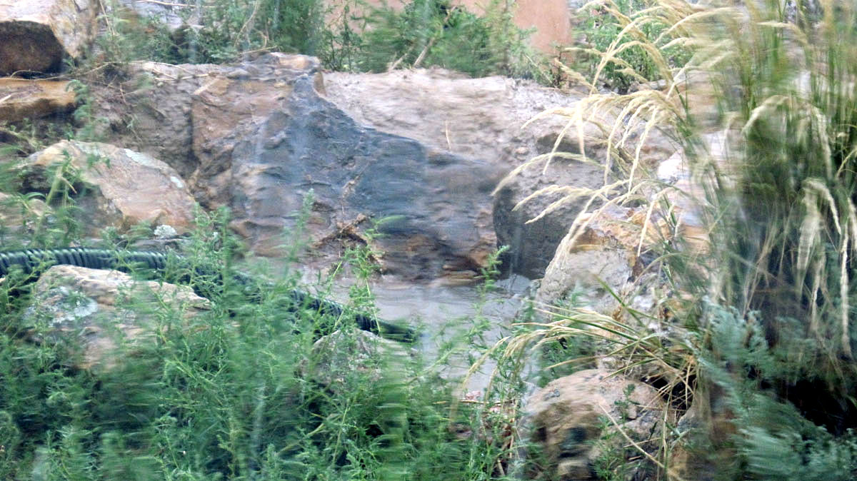 Polishing The Double Wide Turd: Rain, Rain, Go Away. No, Stay! No, Go ...