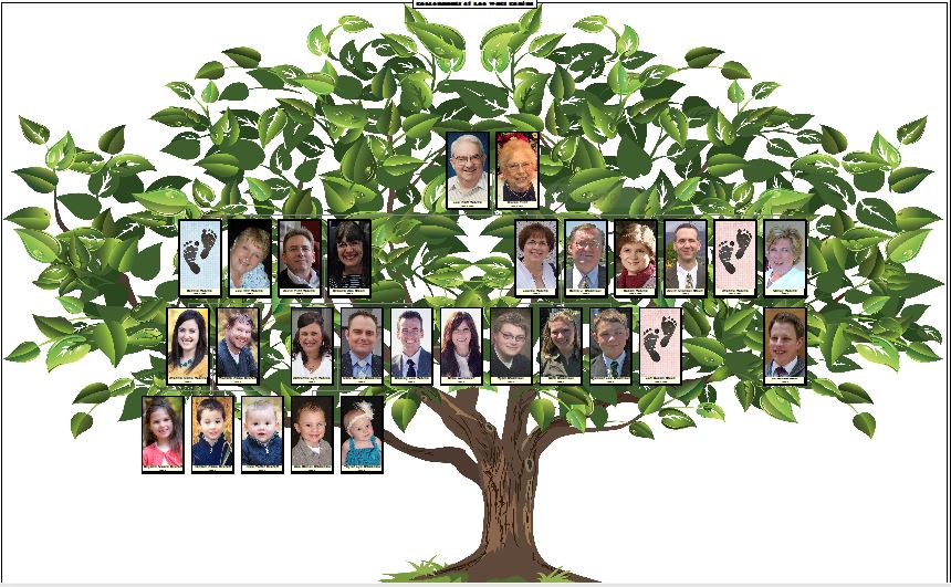 KEVIN AND SHAUNA ROBINS: Lee Robins Family Tree - June 2013
