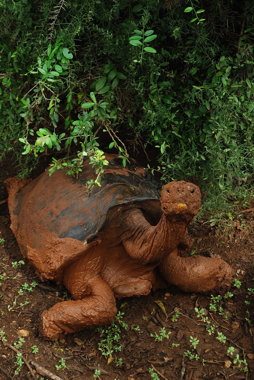 Balanced Steps for Sustainable Living in Galapagos