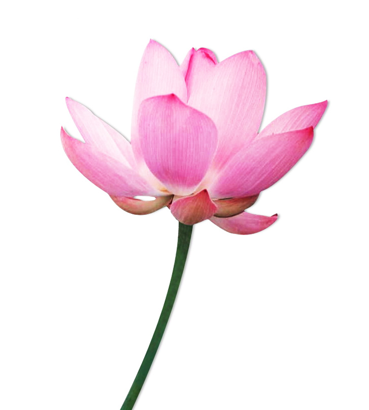 Escalofriorgasmicosmicuántico: septiembre 2012