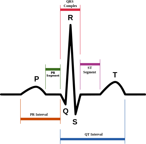 Stupid Heart Rhythms: February 2013