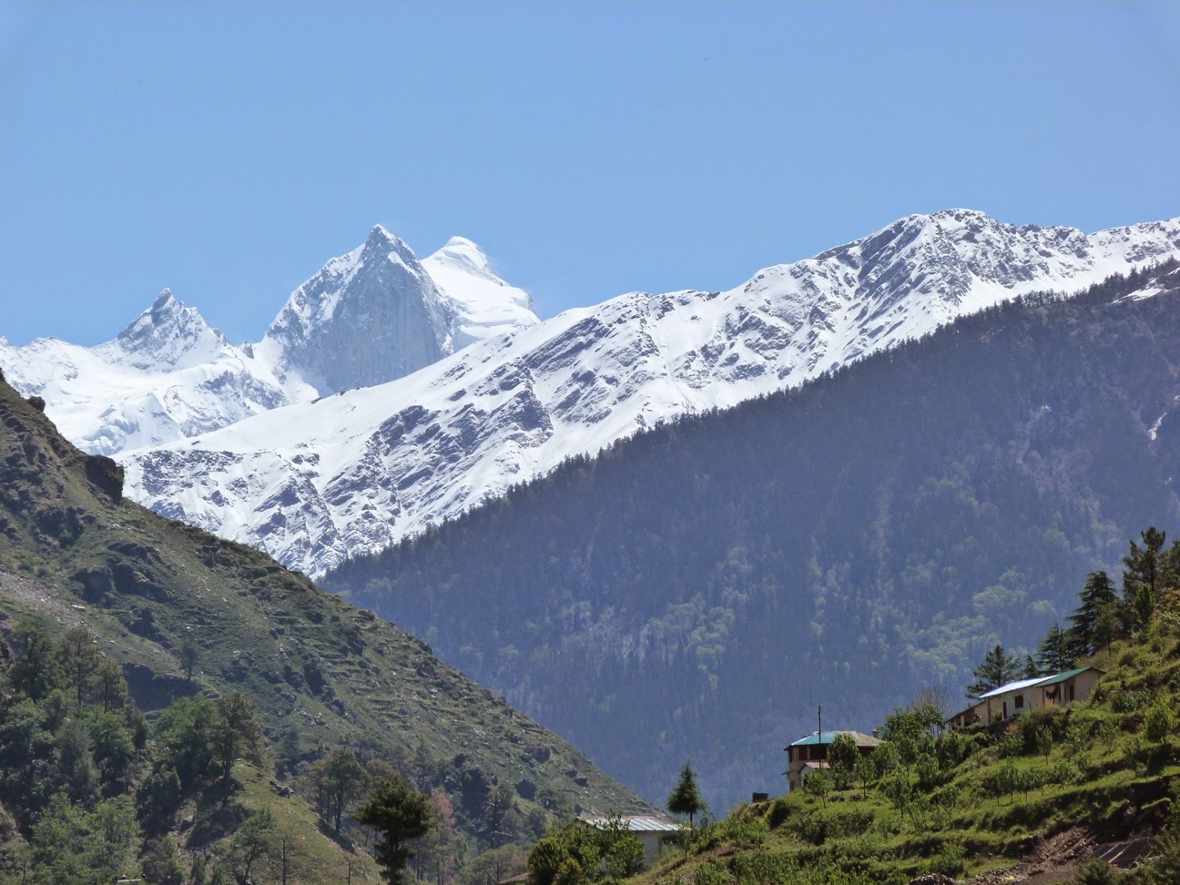Jaipur Birding: Garhwal 2 - birding the track between Sankri and Taluka