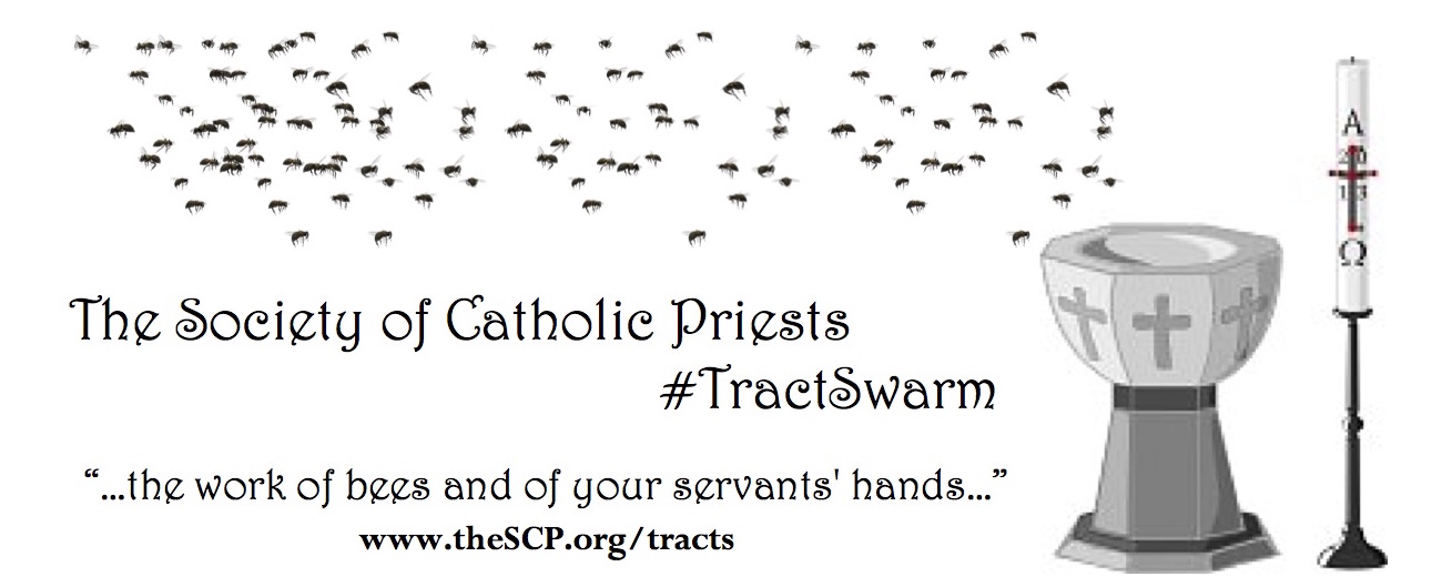 An Elliptical Glory: An Army of Demons (Proper 7C)