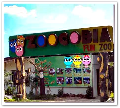 Zoocobia Fun Zoo: A Place for Everyone