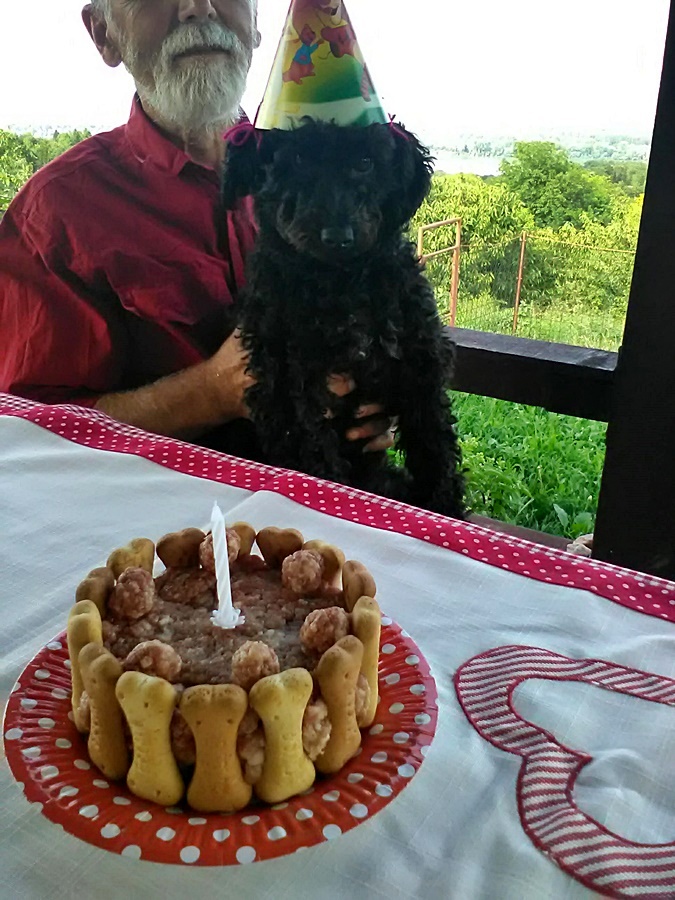 Gaga u kujni: Rođendanska torta za pse