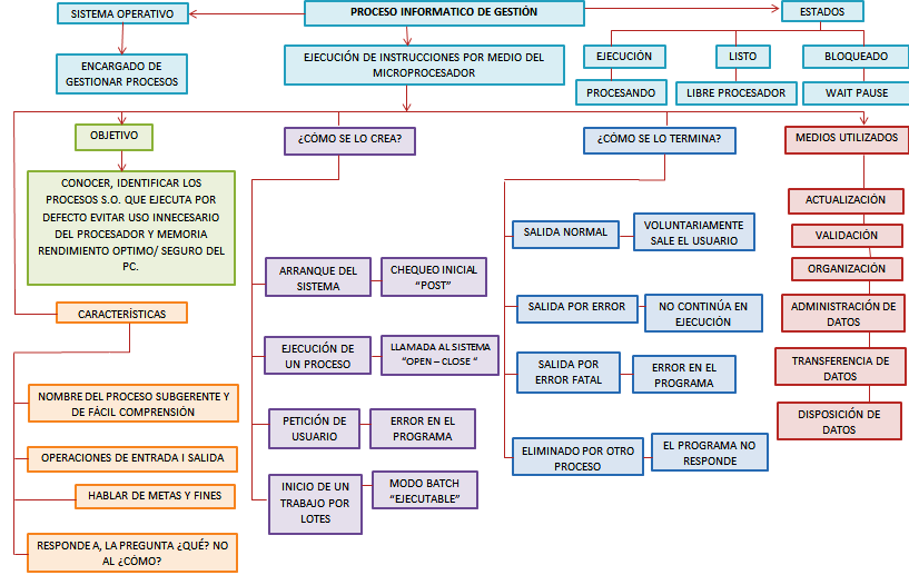 PROCESO INFORMATICO DE GESTIÓN