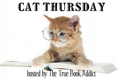 True Book Addict...Books, Cats, and More: Cat Thursday: Cats being ...