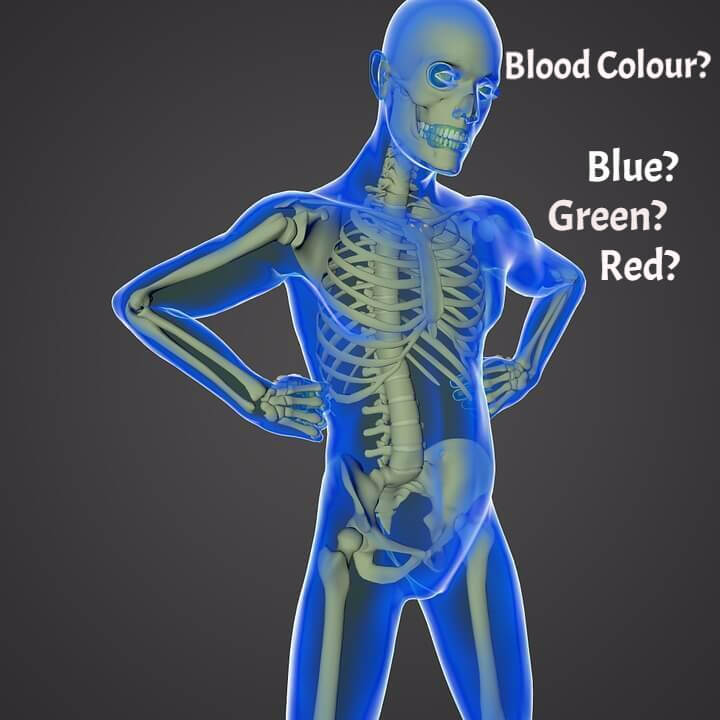Daily Dose: Fun Fact - Deoxygenated Blood Colour Is Not Blue