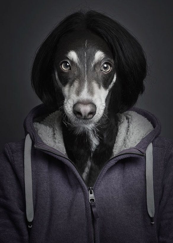 Swiss Artist Creates Stunning “Mad Scientist” Dog Fotos | BOLD and ...