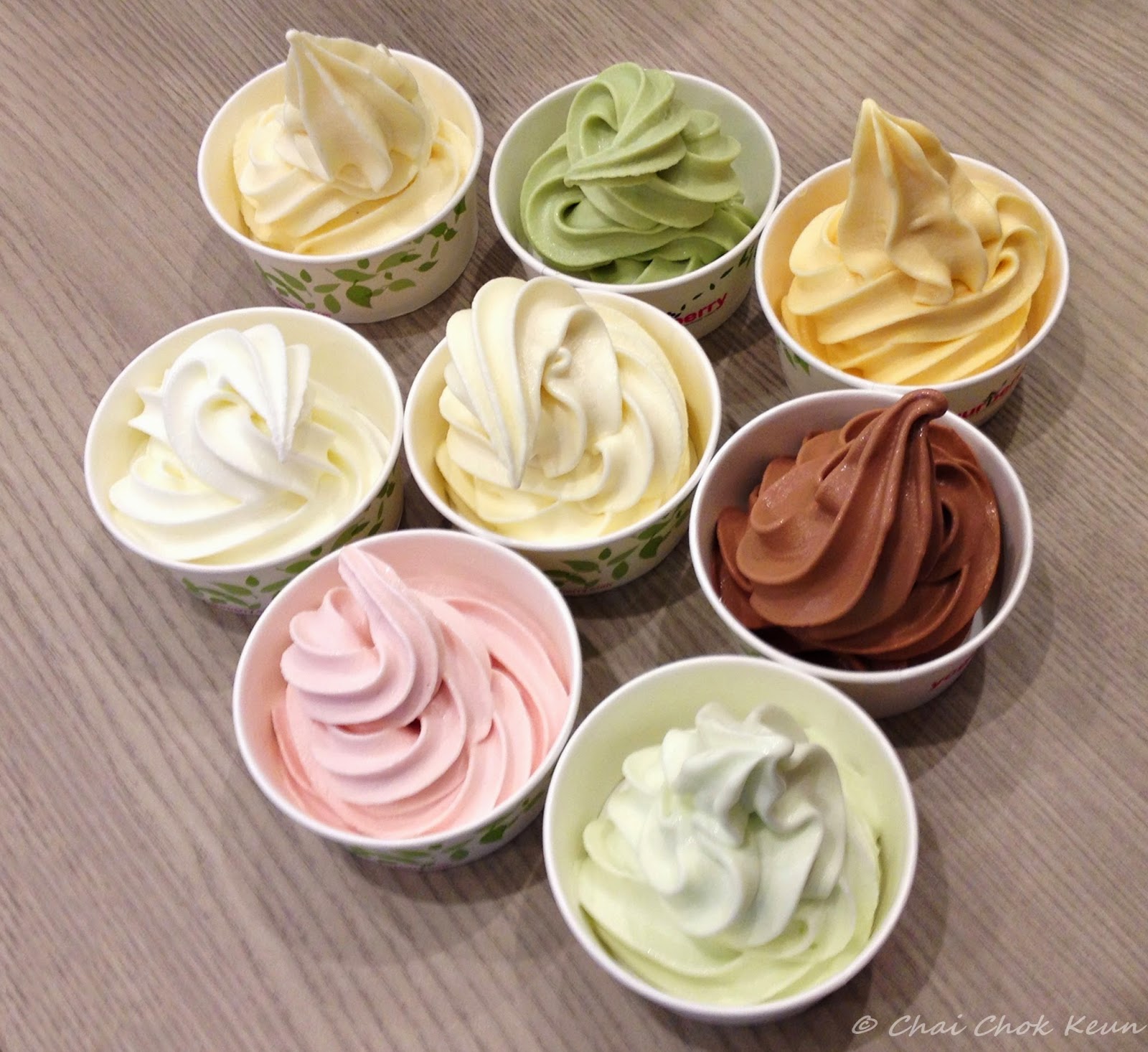 YogurBerry - The Healthy Frozen Yogurt