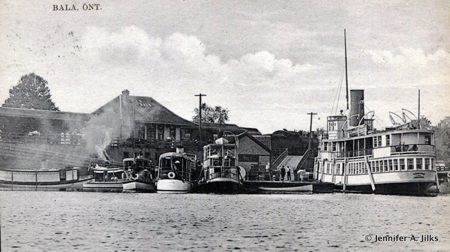 Reflections from Crumbly Acres: Bala Falls Update #30 And Almonte Dam