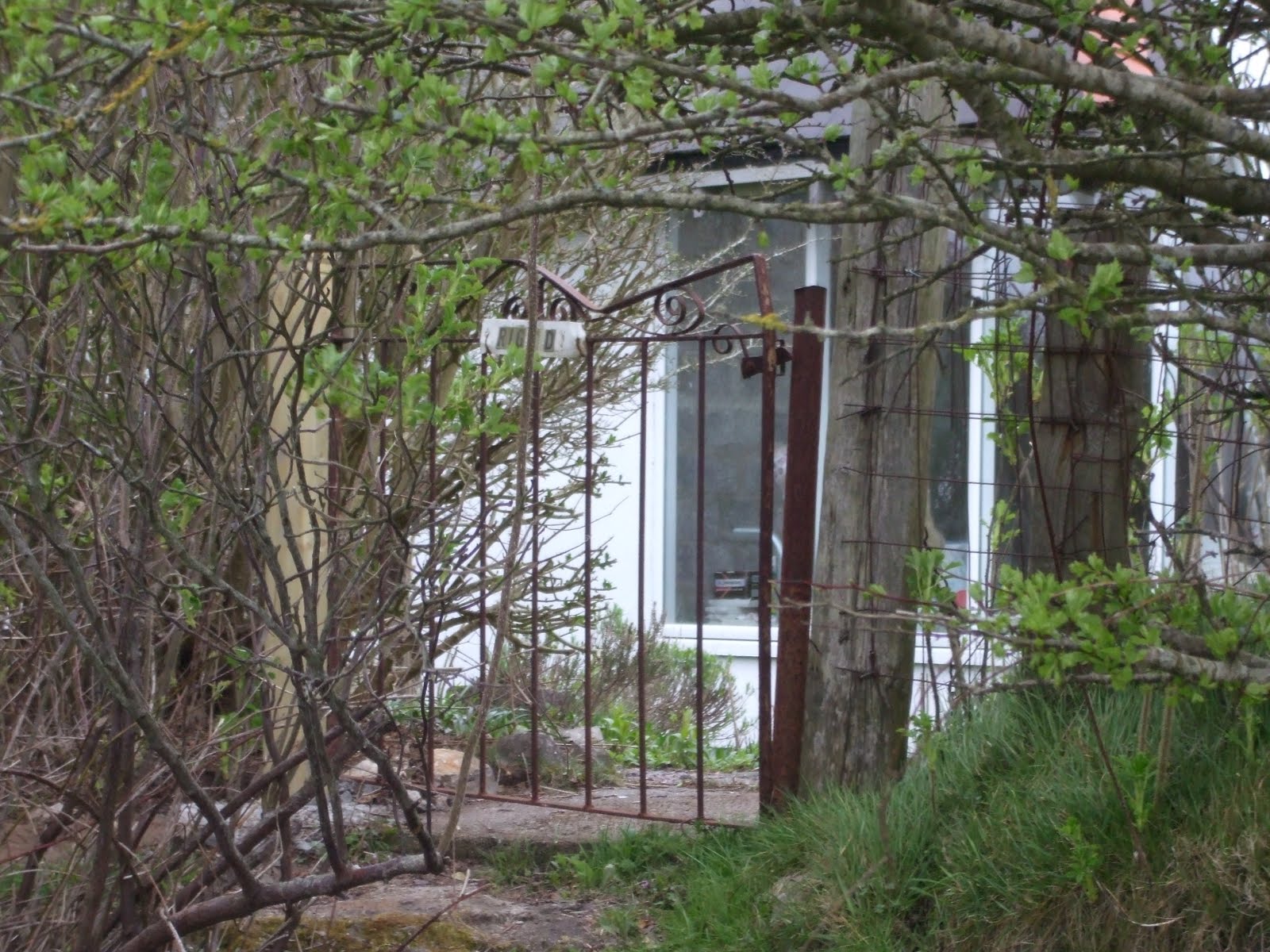 Sandy Lane, Pennard, Gower. Thoughts From My Heart: THE GATES OF SANDY ...