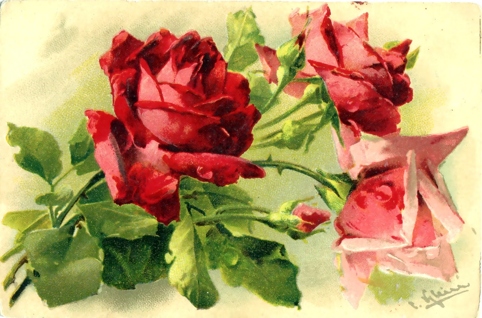Vintage Art Red Roses Prints Postcard | Joy Design Studio