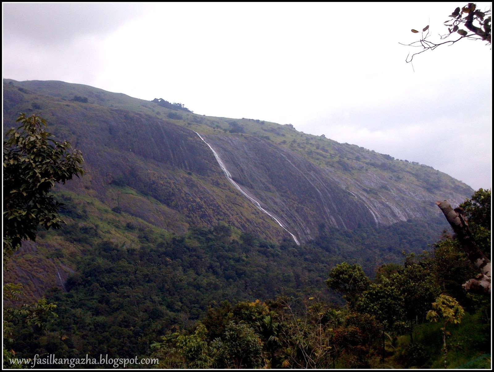 Fasil's: Palkulamedu