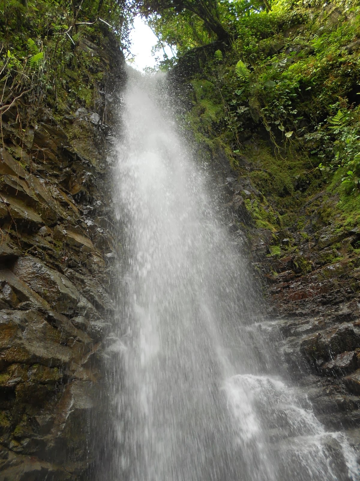 Costa Rica, Ginnee and Phil's Esperanza Adventure