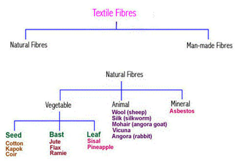Textile Technology: CLASSIFICATION OF TEXTILE FIBER