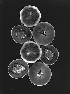 fabrice_holowecki: Photogrammes