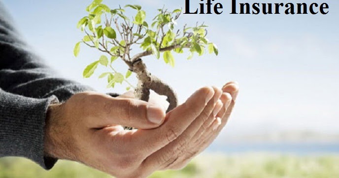 Why should I buy life insurance? | Insurance Life