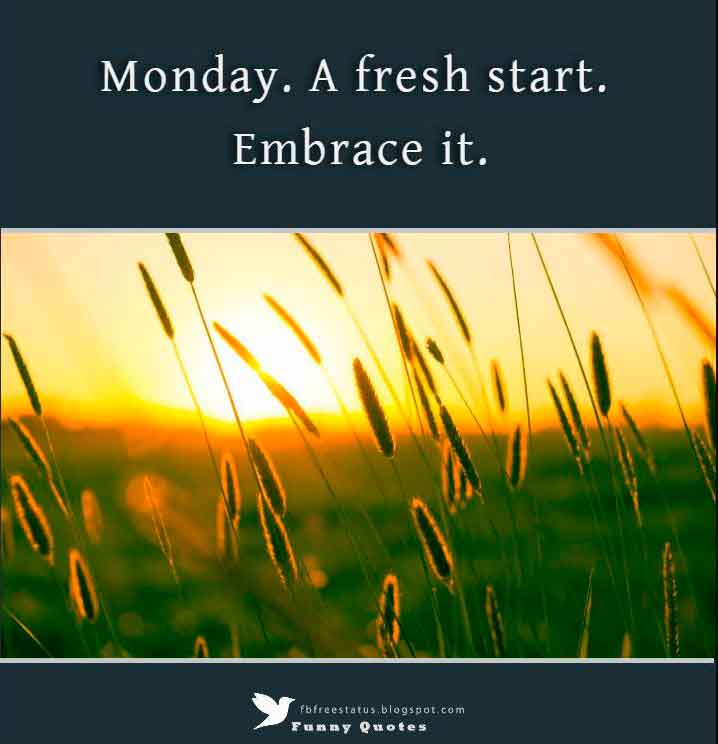 Motivational Monday Quotes Pictures to Boost Your Motivation