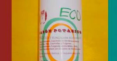 EL MEJOR INSECTICIDA PARA LOS TRIPS