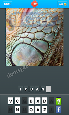 Zoomed In - Photo Word Game Level 127 ~ Doors Geek