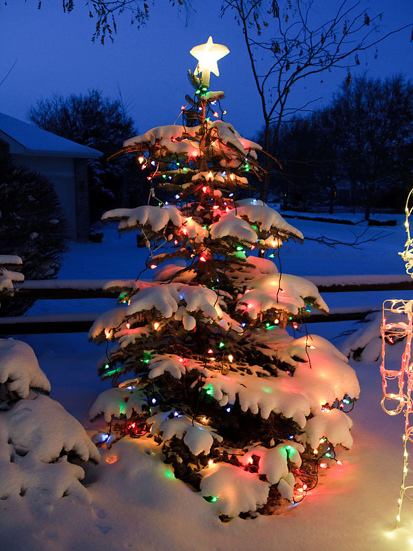 virágküldés blog: A Karácsony, a szeretet ünnepe