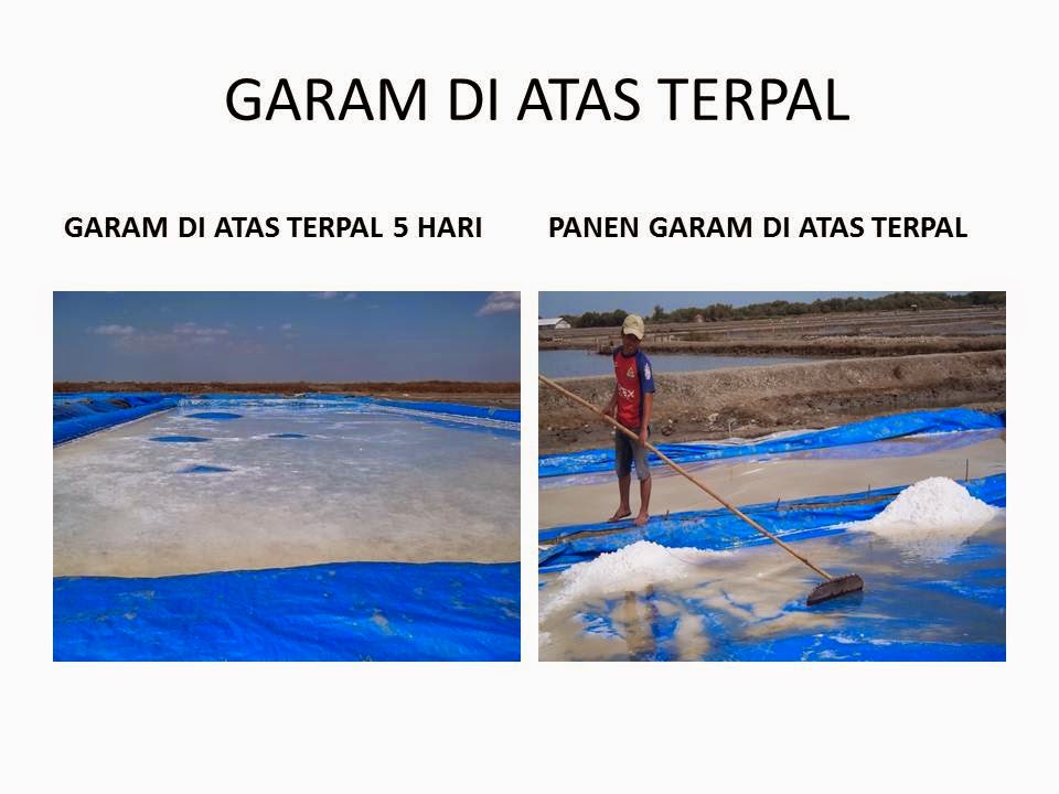 INFO PANTURA DEMAK JEPARA KUDUS : PEMBUATAN GARAM RAKYAT DENGAN ...