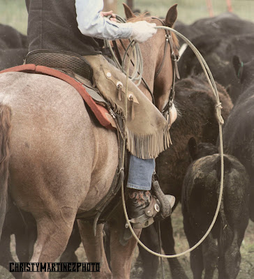 Pony Riding By: Weekend in Photos: Honest Horses