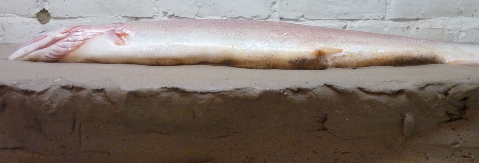 Just Pottering: Making a plaster cast of a fish