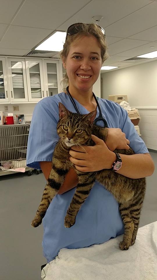 The Scorpion and the Frog: Professions That Work With Animals: The ...