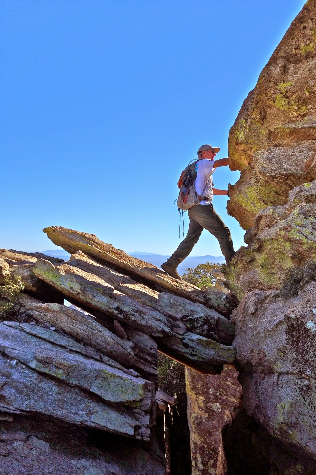 Earthline: The American West: Finger Rock Guard, 6,475', Pusch Ridge ...