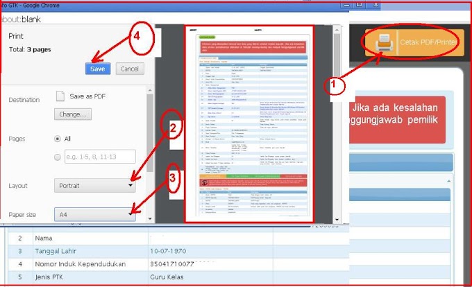 Cara Mudah Cetak dan Simpan Lembar Info PTK/GTK 2017