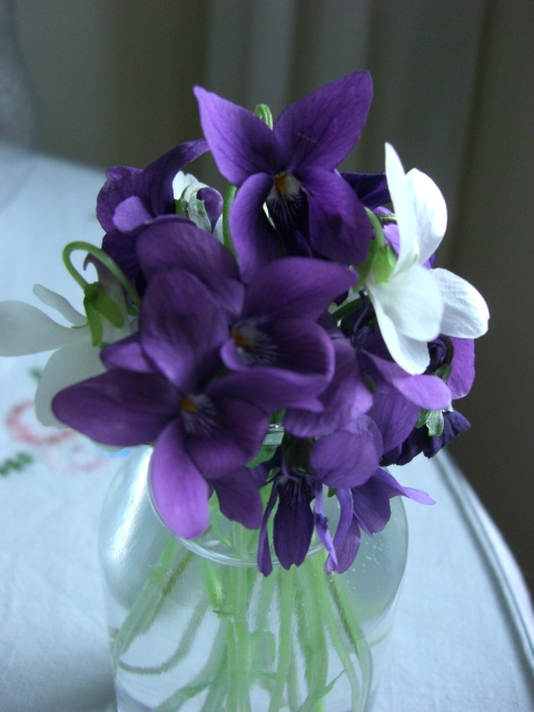 Malores: UN RAMITO DE VIOLETAS