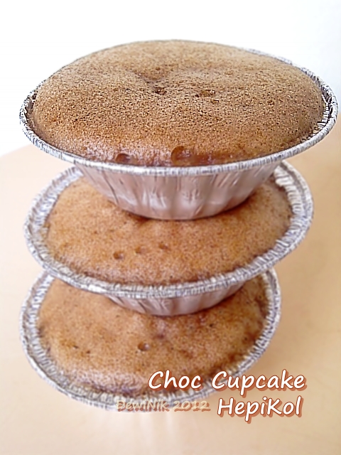 dn'TIR - IbuMamah DewiNik: Februari 2012