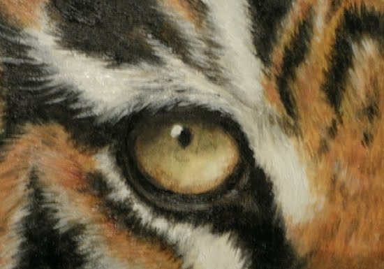 White Wolf : Beverly Basham : Wonderful Wildlife artist