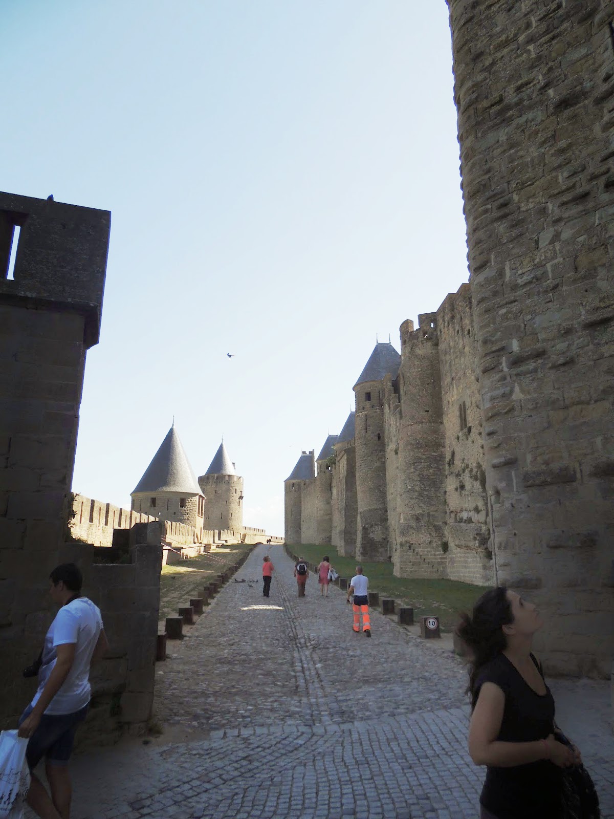 La famille Bertrand en Europe.: La cite fortifiée de Carcassonne La famille Bertrand en Europe.: La cite fortifiée de Carcassonne
