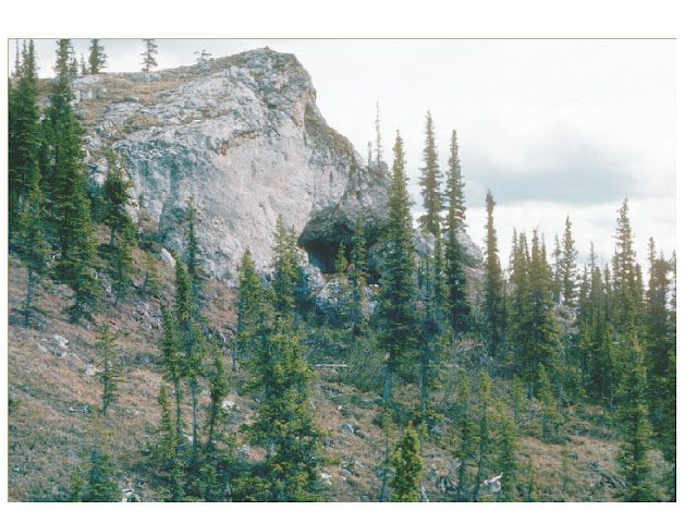 thefuzzysasquatch: Pre-Clovis Archaeological Sites of the Americas 6 ...