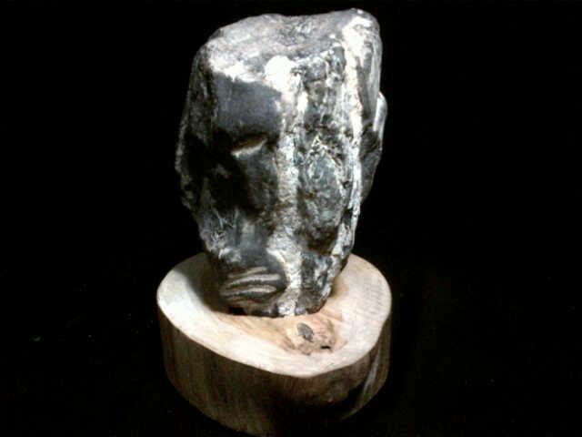 Museum Fosil Kayu Indonesia: FOSIL ISTIMEWA