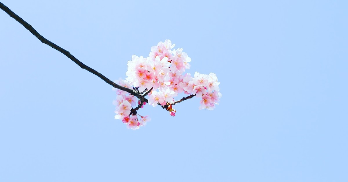 KANSUGI ＋ NOA -Blog-: 久々の投稿はポエムです。何かを書き綴りたい気分にお付き合いくださいませ。Vol.1