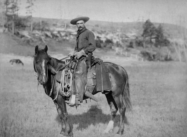 Ol'Buzzard's World View: THE RUGGED TEXAS COWBOY