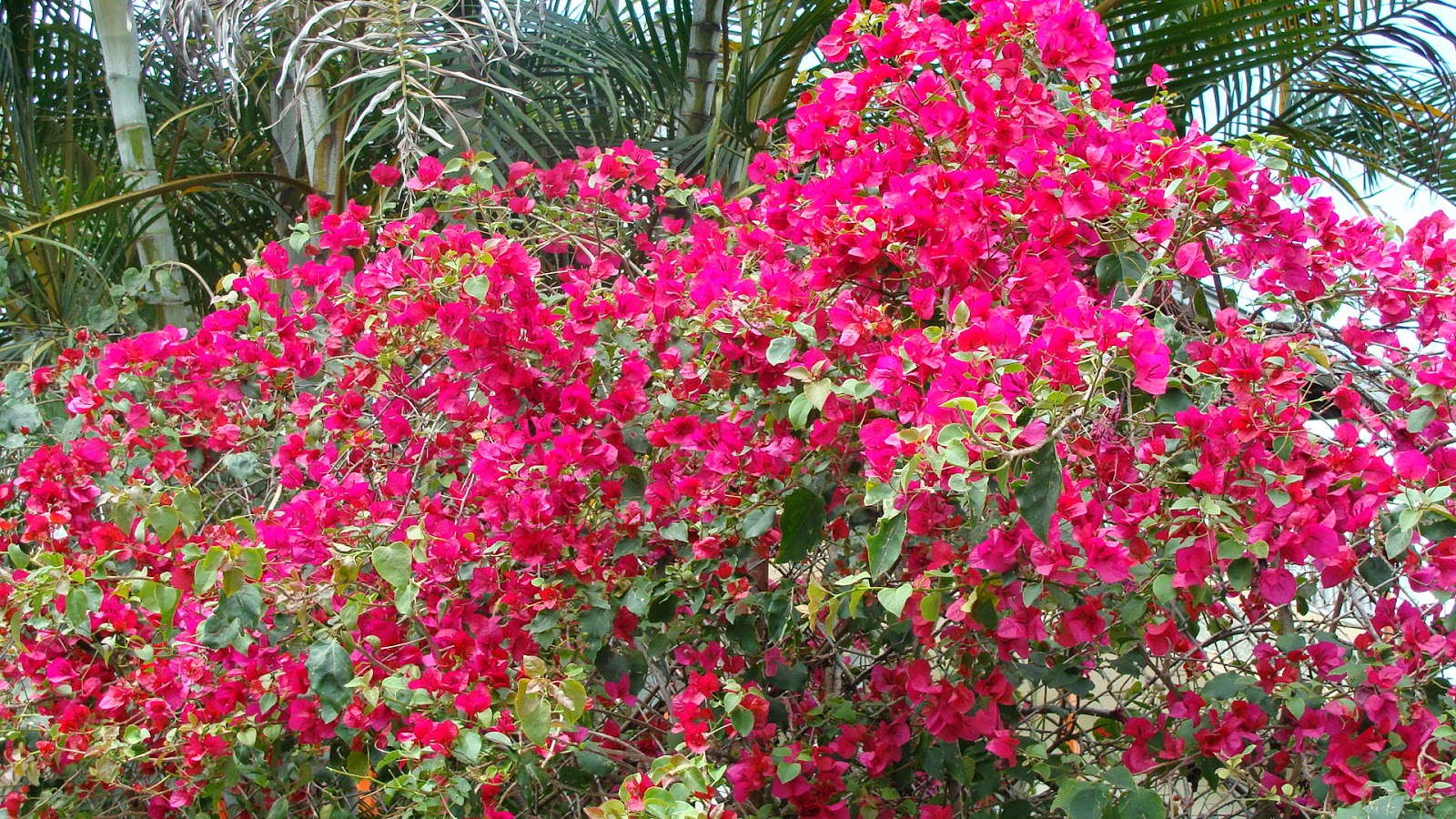 diversidad de trabajos en un blog