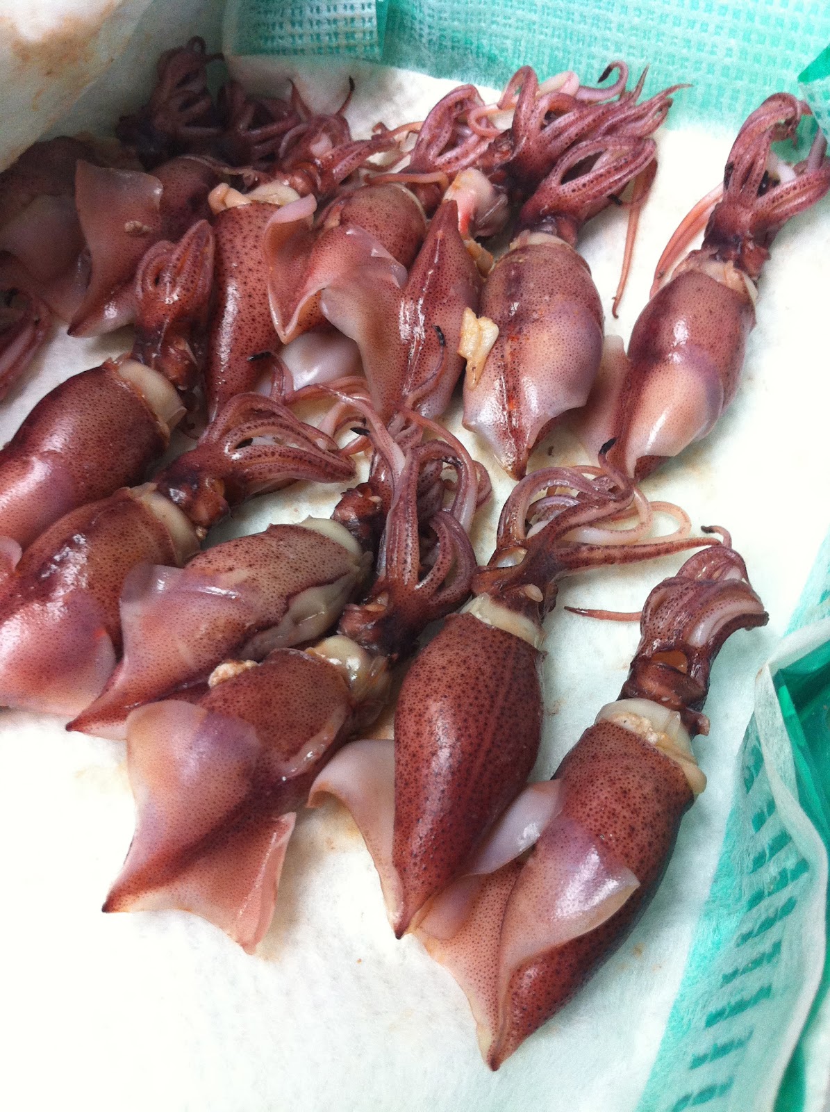 Hotaru Ika (Firefly squid)