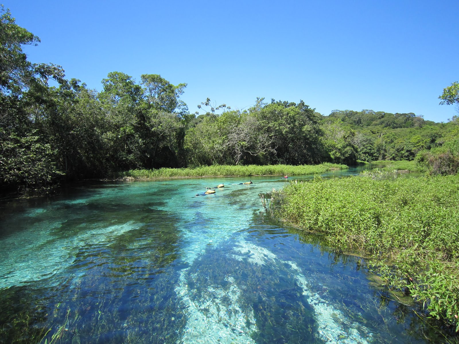 Samba au Brésil: Bonito