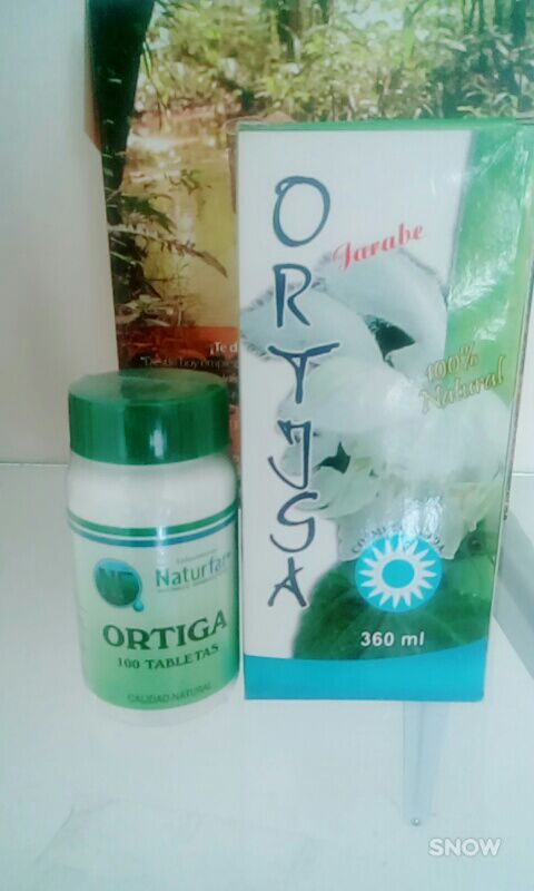 J&A CENTRO NATURISTA: ORTIGA